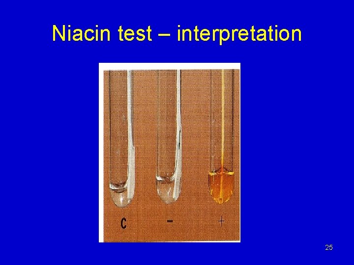 Module 8 Identification of M tuberculosis 1 Learning