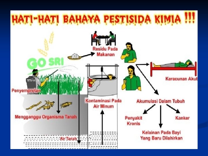 DAMPAK RESIDU PESTISIDA PADA PRODUK PERTANIAN SEGAR KEUNTUNGAN