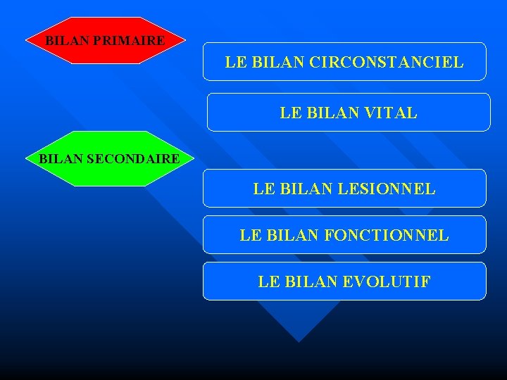 LES DIFFERENTS BILANS Stage de CFAPSE Sergent Philippe