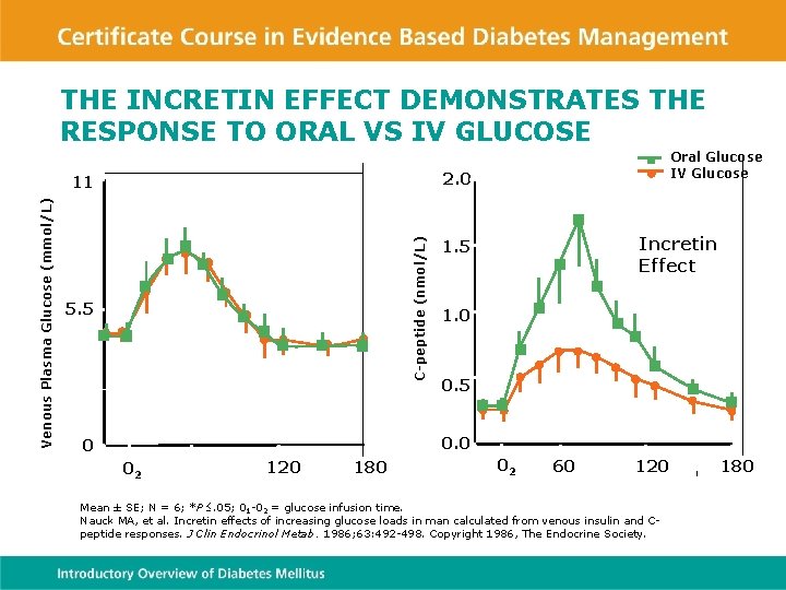 INTRODUCTION TO DIABETES MELLITUS BASIC CONCEPTS WHAT IS
