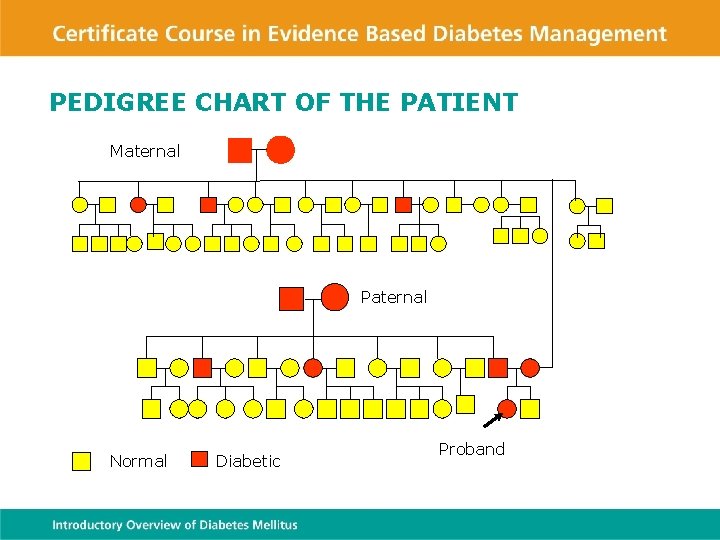INTRODUCTION TO DIABETES MELLITUS BASIC CONCEPTS WHAT IS