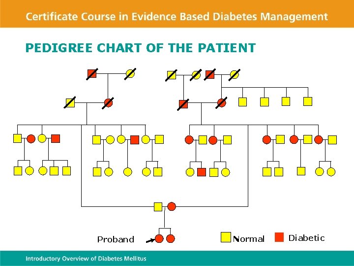 INTRODUCTION TO DIABETES MELLITUS BASIC CONCEPTS WHAT IS