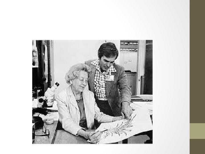 INTENSIVE FIRST YEAR AMERICAN SIGN LANGUAGE ASL 134