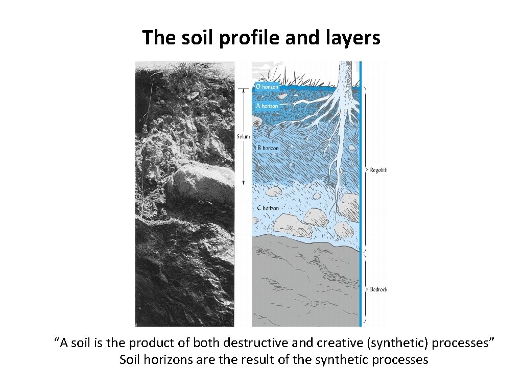 SOILS AND THEIR SIGNIFICANCE PART 2 The soil