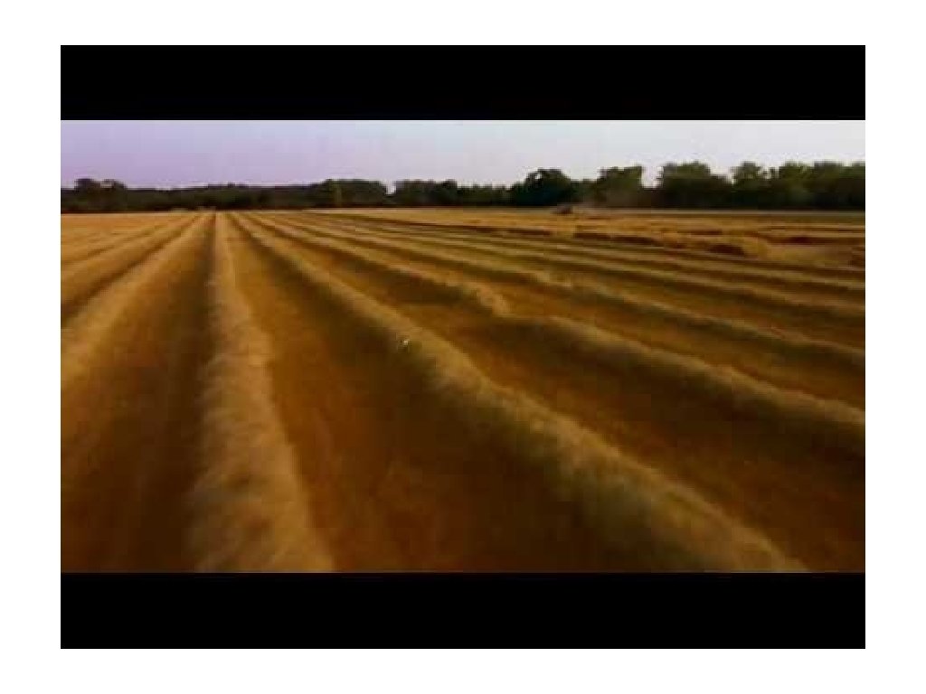 SOILS AND THEIR SIGNIFICANCE PART 2 The soil