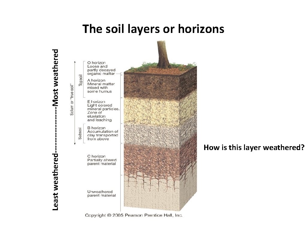 SOILS AND THEIR SIGNIFICANCE PART 2 The soil