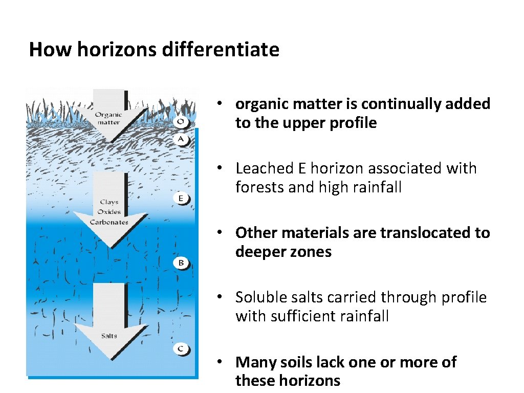 SOILS AND THEIR SIGNIFICANCE PART 2 The soil