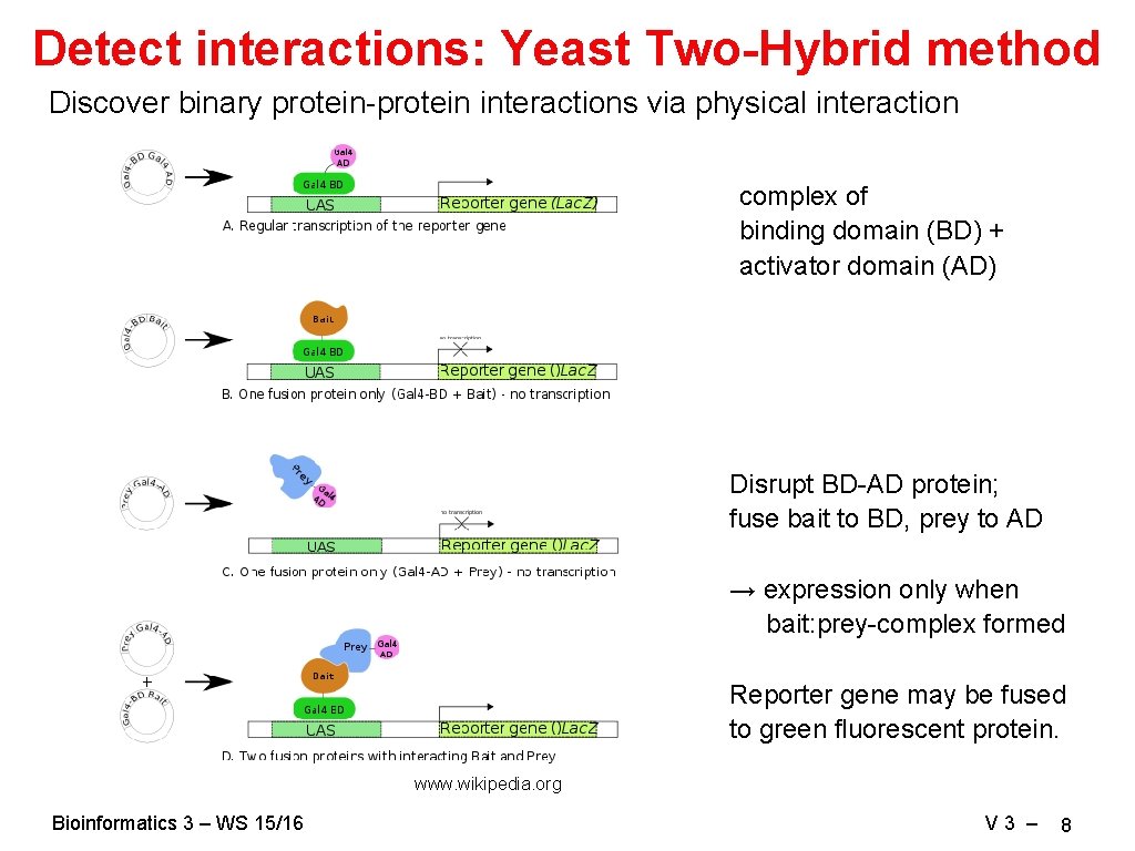 Bioinformatics 3 V 3 Data for Building Protein