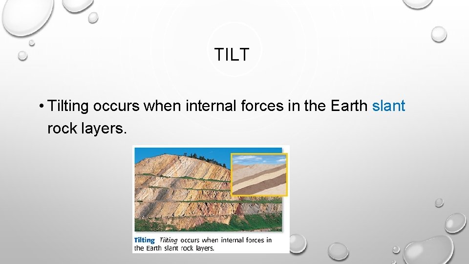 CHAPTER 6 THE ROCK AND FOSSIL RECORD SECTION