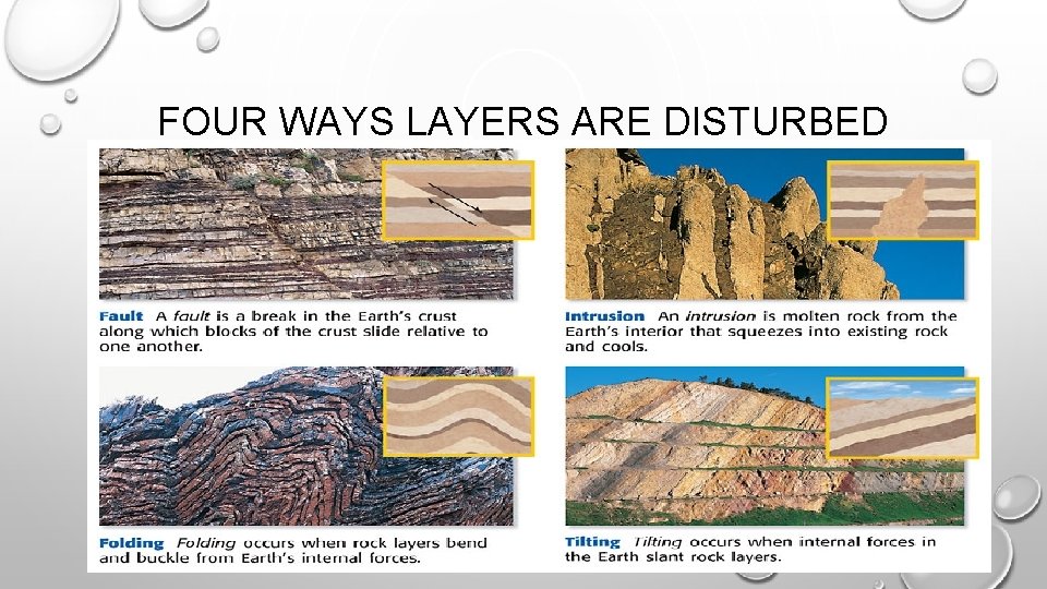 CHAPTER 6 THE ROCK AND FOSSIL RECORD SECTION