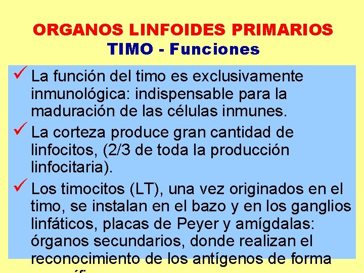 rganos y tejidos linfoides y Clulas del Sistema