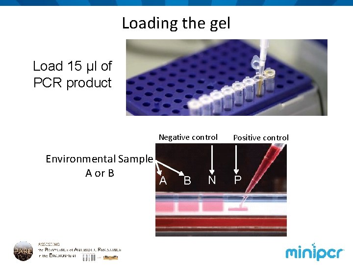 mini PCR Antibiotic Resistance Lab Monitoring resistant organisms