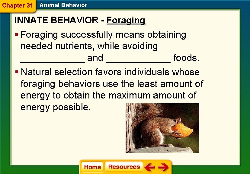 Animal Adaptations 31 1 31 2 State Standard