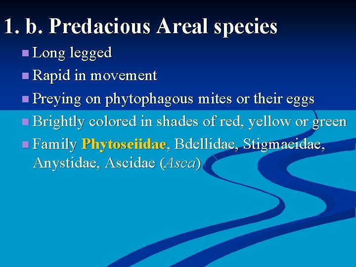 MITES ARACHNIDA ACARI COLLECTION PREPARATION MOUNTING LABELING STORAGE