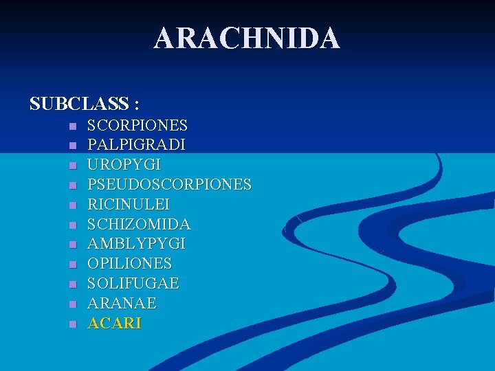 MITES ARACHNIDA ACARI COLLECTION PREPARATION MOUNTING LABELING STORAGE