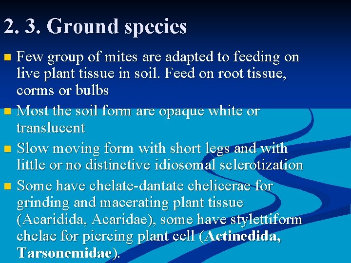 MITES ARACHNIDA ACARI COLLECTION PREPARATION MOUNTING LABELING STORAGE