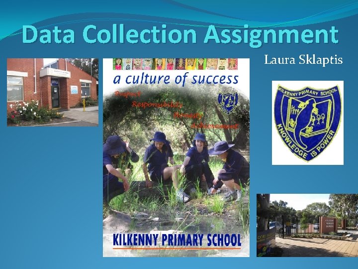 Data Collection Assignment Laura Sklaptis The School Cooking