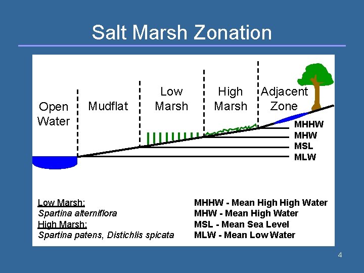 Sea Level Rise Model Geoenabled by FGDC Digital