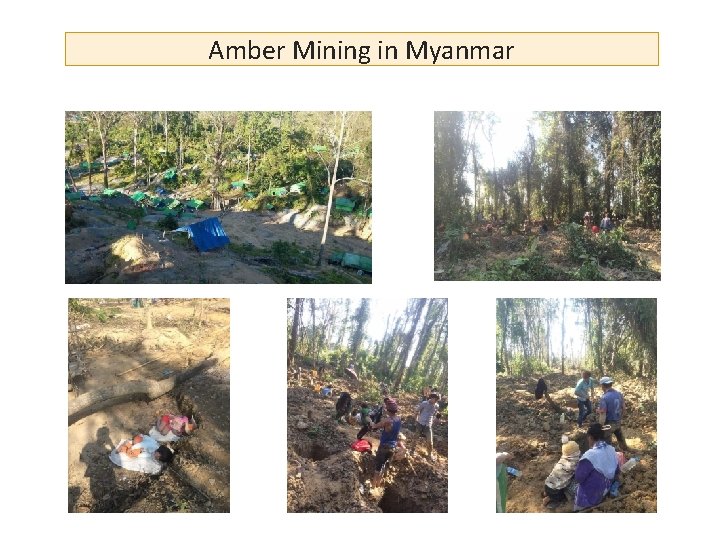 Introduction to Amber Collections Pte Ltd Cheong Wing