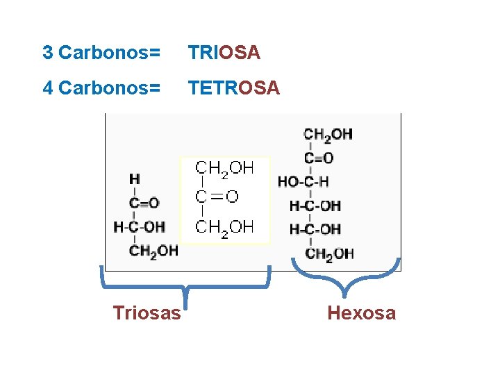 SEMANA 25 INTRODUCCIN AL ESTUDIO DE LA BIOQUMICA