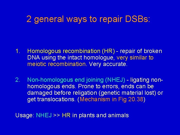 DNA Recombination Roles Types Homologous recombination in E