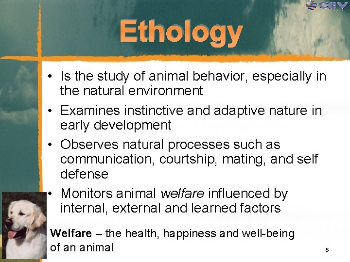 1 Objectives 1 To assess the importance of