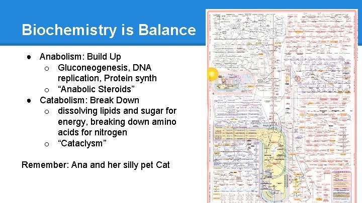 Overview of Nucleic Acid Chemistry and the Central