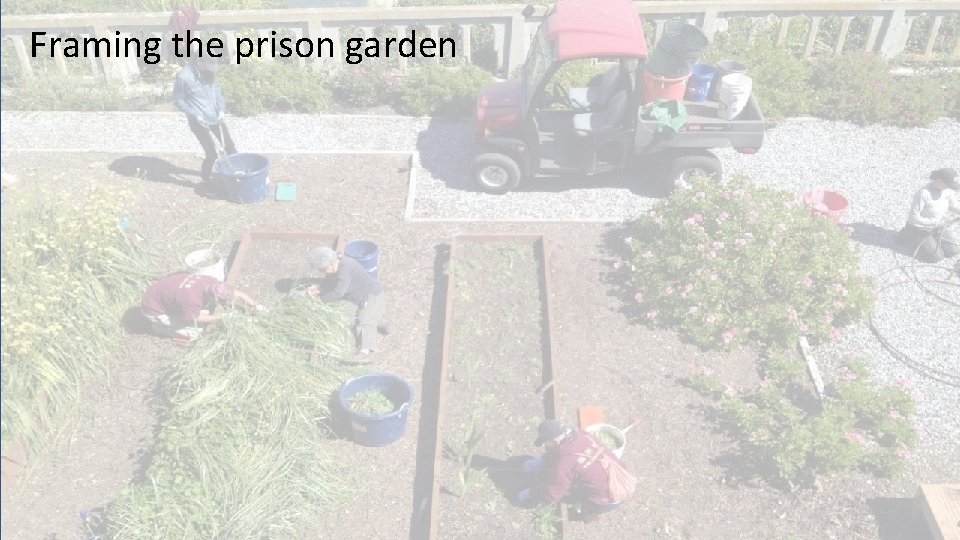 Tending the prison garden following plants and plant