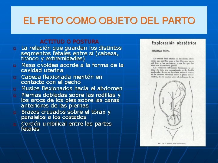 EL FETO COMO OBJETO DEL PARTO DR BARBOZA