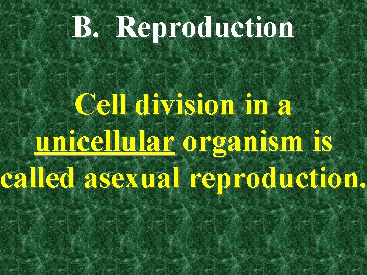 The Cellular Basis of Inheritance All cells come