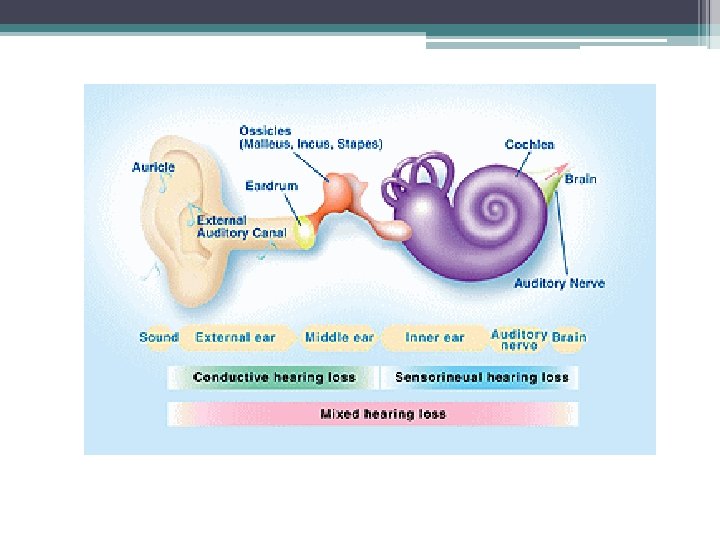 Ear Examination TFT ET Patency Tests Dr Sheetal