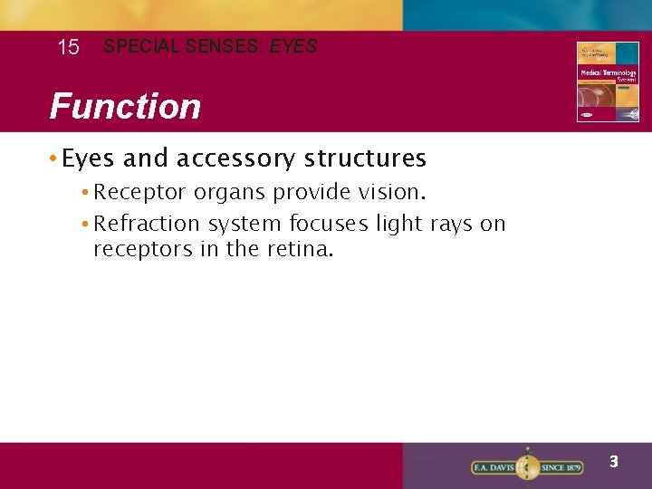 Lecture Notes 15 Special Senses Eyes Classroom Activity