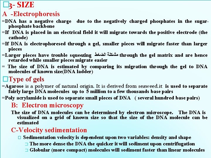 5 th lecture in molecular biology Dr Sawsan