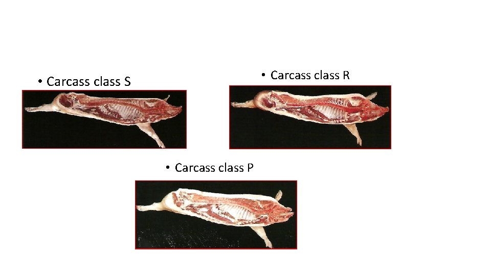 Technical Assistance for Development of Strategy for Alignment