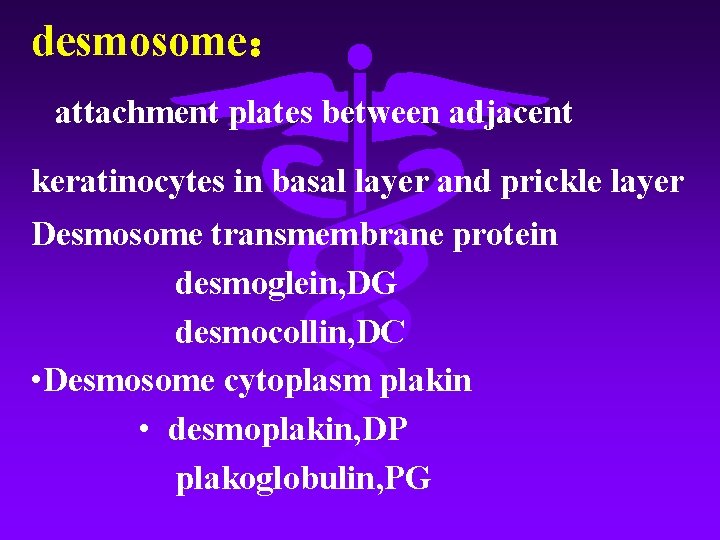 Anatomy and Function of Skin Importance of the
