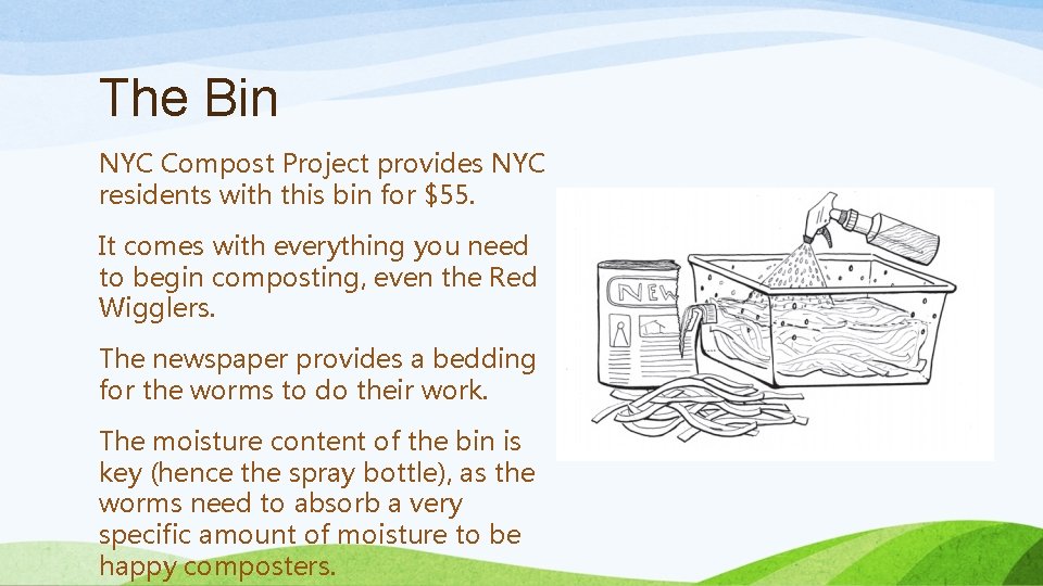 WORM WORLD Overview of the Worm Project Using