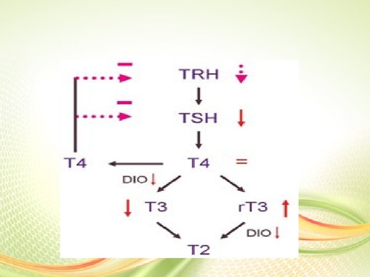 Microparticle Enzyme Immunoassay MEIA Microparticle Enzyme Immunoassay MEIA