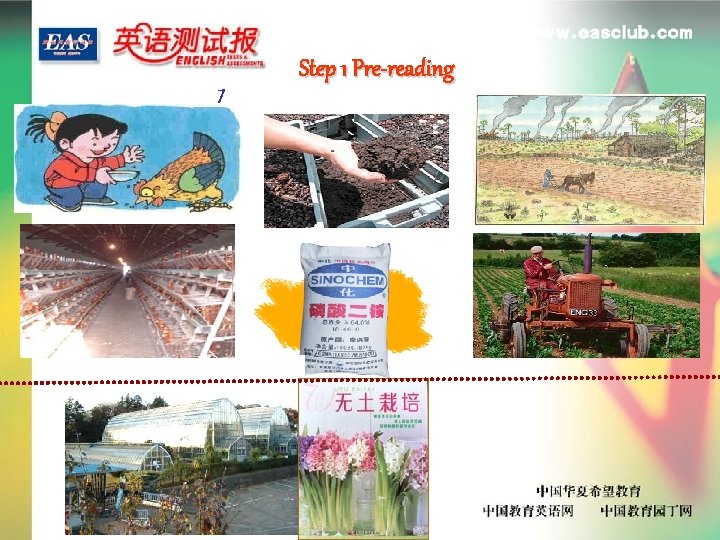 Unit 19 Modern agriculture 1 Step 1 Prereading