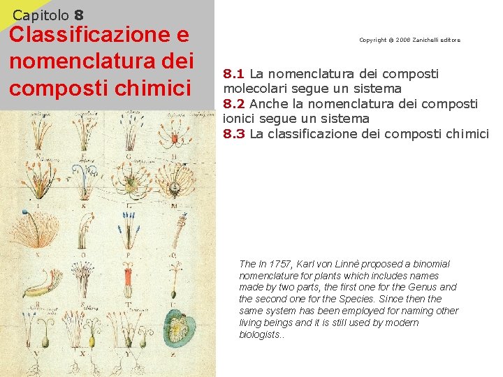 Capitolo 8 Classificazione e nomenclatura dei composti chimici
