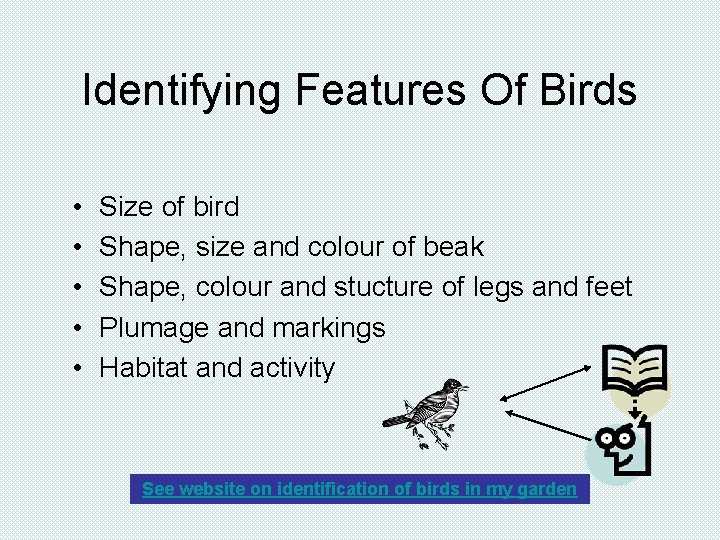 Whats a bird to us Lucille Dunne Nightingale