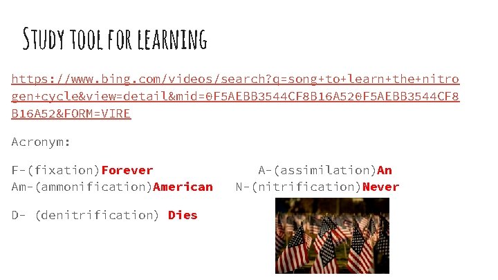Nitrogen Cycle Mark Eusterman Paris Colton Eden Empey
