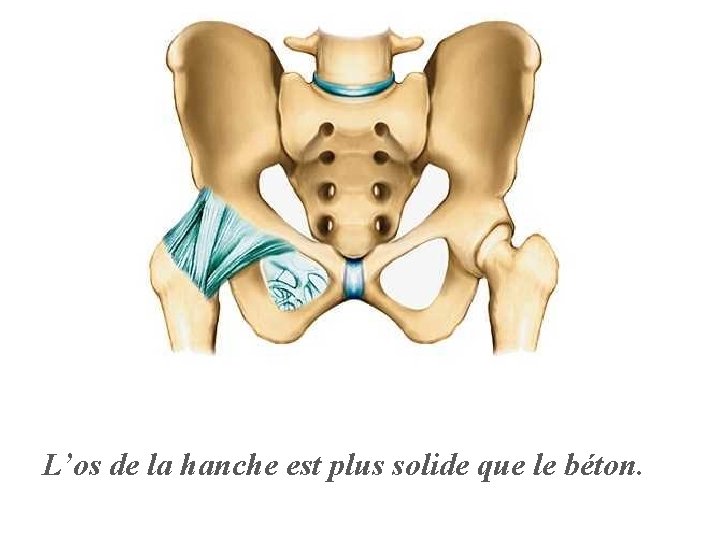 CURIOSITES CORPS HUMAIN Diaporama PPS ralis pour http