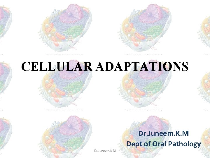 CELLULAR ADAPTATIONS Dr Juneem K M Dept of