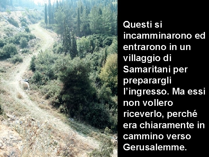 XIII DOMENICA DEL TEMPO ORDINARIO ANNO C Lc