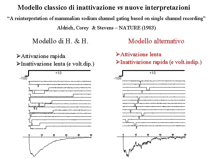 Esempi di modelli cinetici 1 Gating dei canali