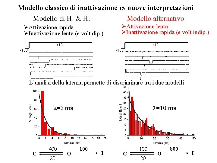Esempi di modelli cinetici 1 Gating dei canali