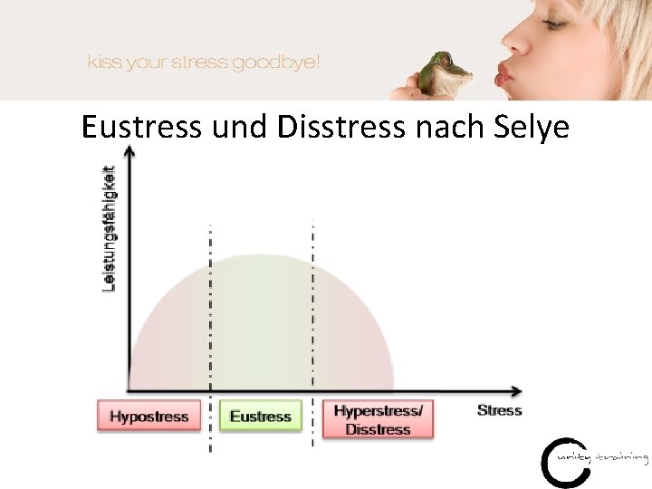 1 Stress Definitionen und Modelle StressDefinition Allgemeines ...