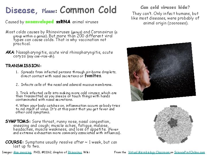 About Science Prof Online Power Point Resources Science
