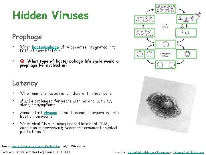About Science Prof Online Power Point Resources Science