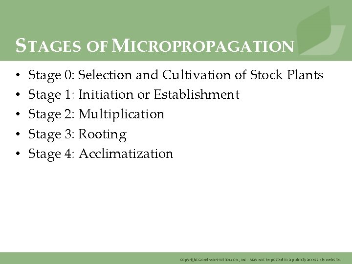 CHAPTER 17 Tissue Culture Micropropagation CHAPTER OUTCOMES Understand